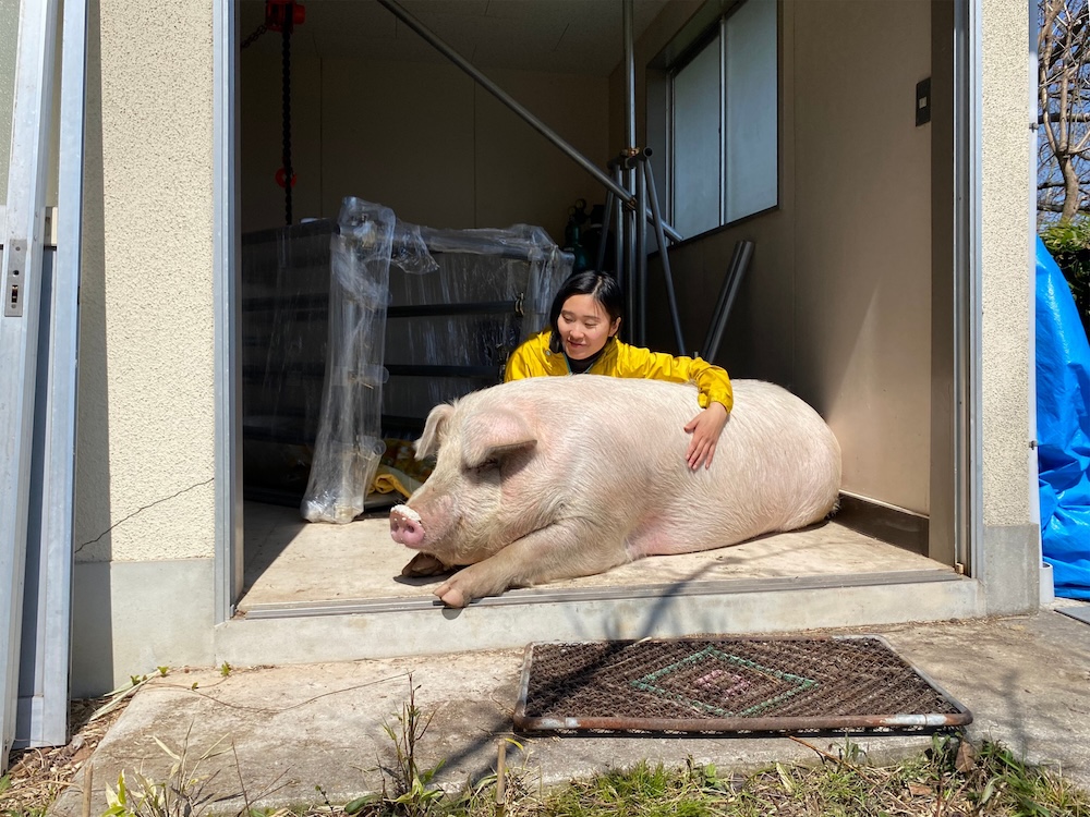 Memento Momo de Ryoko Yashima